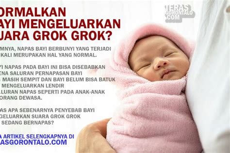 Normalkan Bayi Mengeluarkan Suara Grok Grok Begini Cara Menghilangkannya Teras Gorontalo