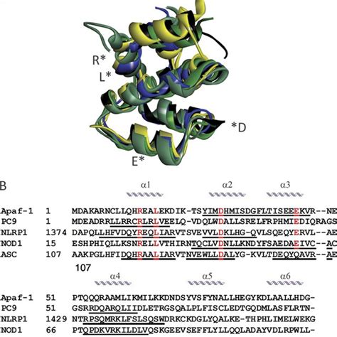Multiple Protein Alignment Of Cards A Structural Overlapping Of