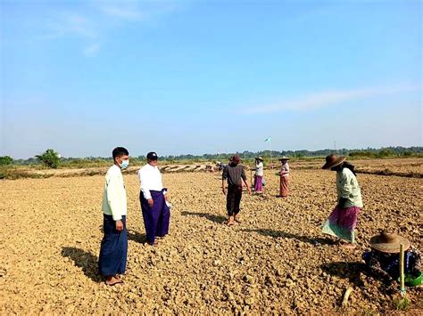 သာပေါင်းမြို့နယ် စိုက်တိုးမြင့်ကော်မတီဥက္ကဋ္ဌနှင့် အဖွဲ့ Super Sun 41