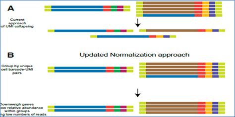 Correcting Chimeric Crosstalk In Single Cell RNA Seq Experiments RNA Seq Blog