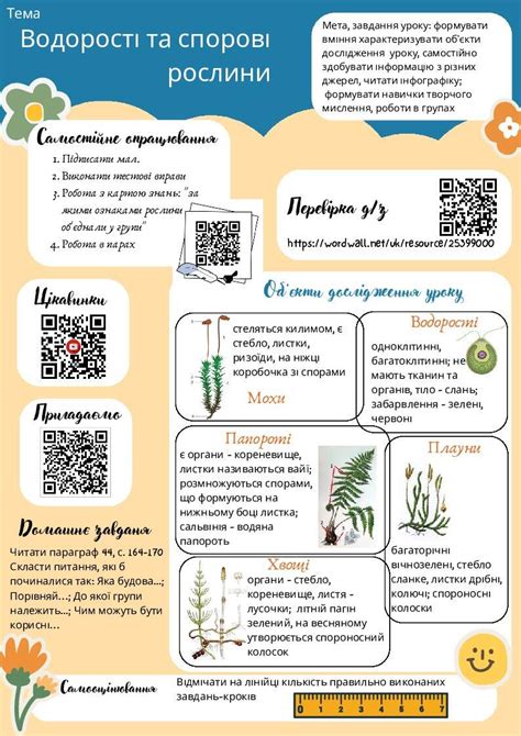 Водорості та спорові рослини 5 клас НУШ Конспект Пізнаємо природу