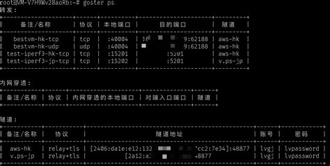 【分享】gost 基础转发和内网穿透
