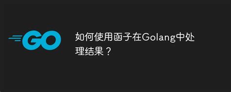 如何使用函子在golang中處理結果? Golang Php中文網 如何使用函子在golang中處理結果? Golang Php中文網