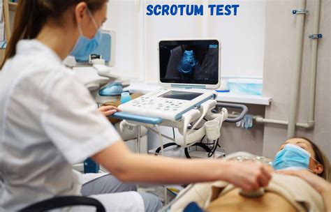What Is A Usg Scrotum Test Purpose Procedure And Uses