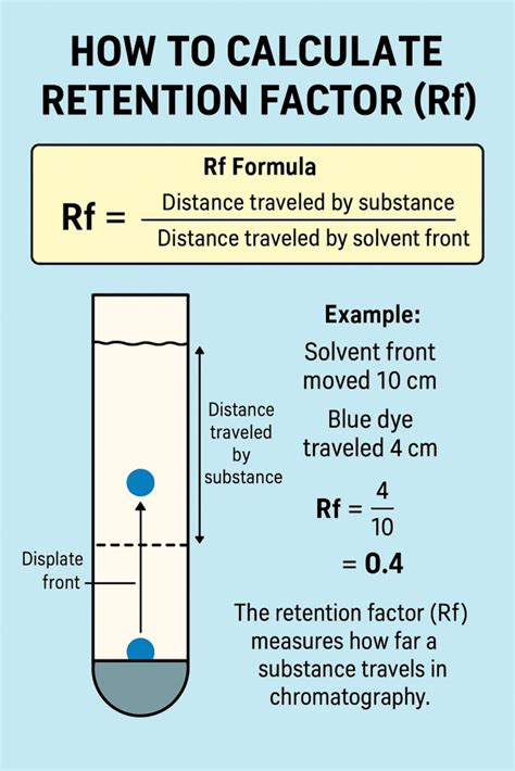 How To Calculate Rf Value In Chromatography Simple Guide OneSDR Technology