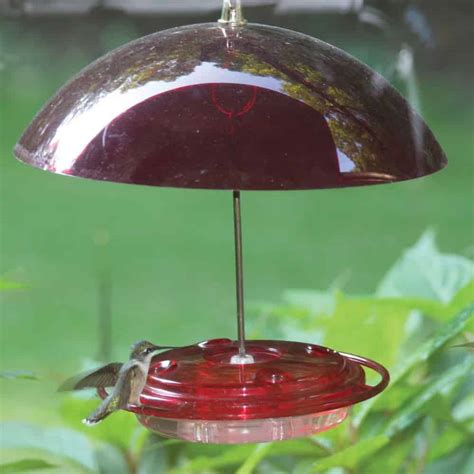 Hummingbird Feeders The Garden Mill