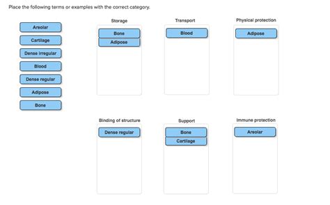 Match Each Connective Tissue Function With The Appropriate Image