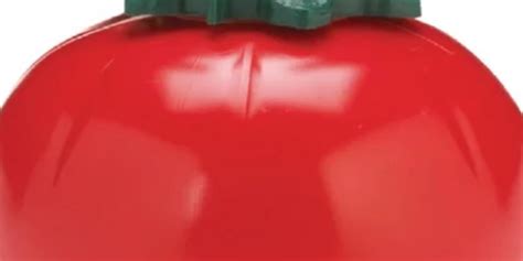 12 플라스틱 토마토