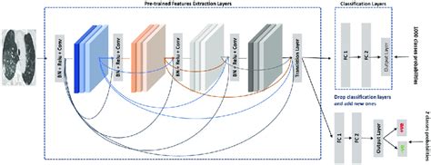 Transfer Learning Example Densenet201 Pre Trained Feature Extraction Download Scientific