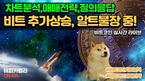 비트코인 실시간 비트 신고점 갱신 중 알트불장 차트분석매매전략질의응답 1111 점심💎비트코인 비트코인실시간 이더리움 리플 Cryptocurrency