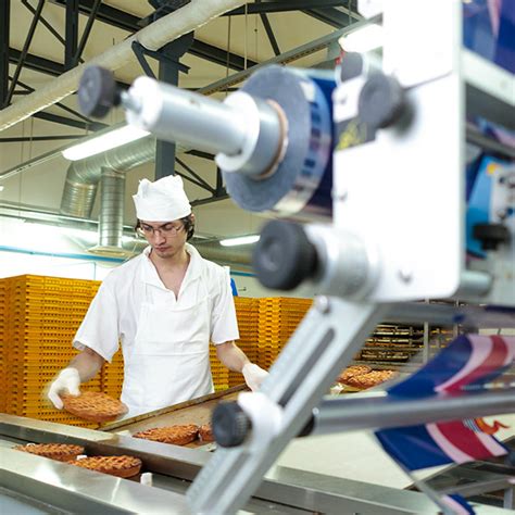 HFFS Horizontal Flow Wrap Film Printing Packaging Services Chicago