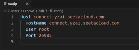 实验日志 Vs Code 连接服务器上的 Python 解释器进行远程调试 网硕互联帮助中心 实验日志 Vs Code 连接服务器上的 Python 解释器进行远程调试 网硕互联帮助中心