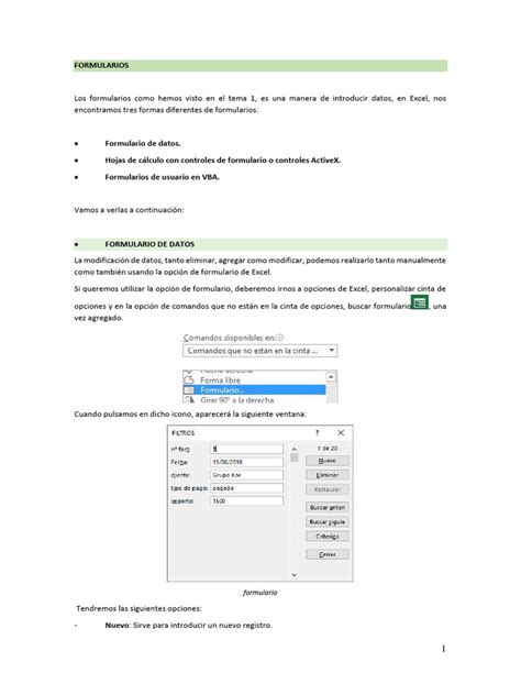 Formularios En Excel Pdf Microsoft Excel Básico