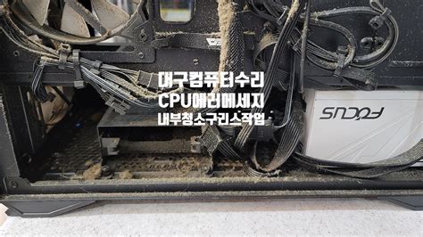 Daum 카페