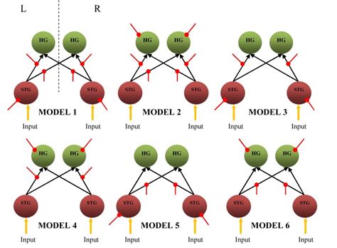 Six Bilinear Causal Model Having Connections And Regions Influenced By Download Scientific