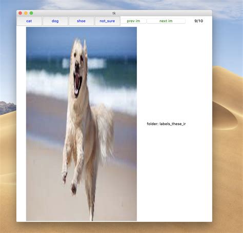 Github Nestak2image Sorter2 One Click Image Sortinglabelling Script