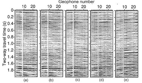 Retrieved Common Source Gathers Along The Ne Line From Correlation
