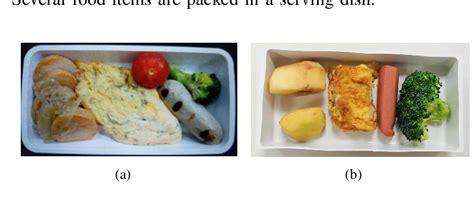 Sample And Surrogate Objects And Placement For The Proposed Protocol