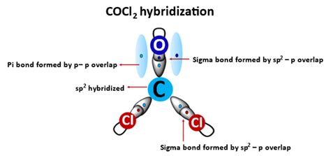 Cocl2 Lewis Structure Molecular Geometry Hybridization Bond Angle