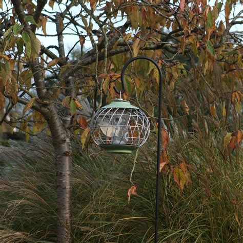 Shepherds Crook Bird Feeder Hanger Harrod Horticultural