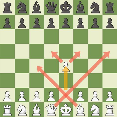 Chess Openings Chess Terms Chess Com