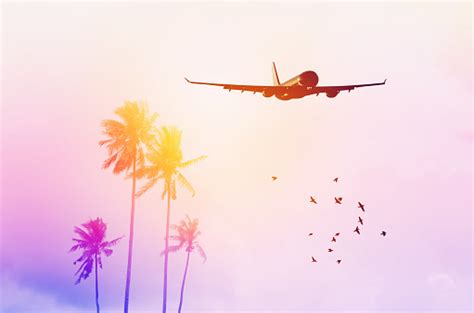 열대 야자수와 일몰 하늘 추상적 인 배경을 통해 비행 비행기 비즈니스 여름 휴가 및 여행 모험 개념의 공간을 복사합니다 빈티지 톤 필터 효과 색상 스타일입니다 날기에 대한