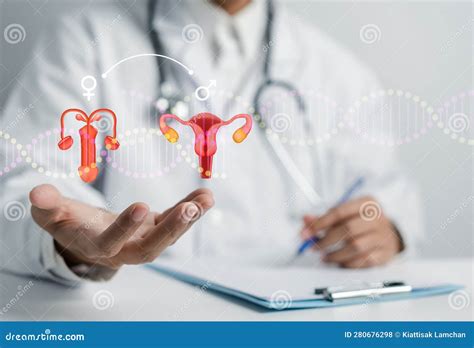 Different And Transgender Concept Third Gender And Sex Many Gender