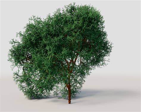 Fractal Tree Generator
