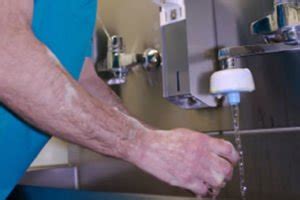 Why Is Pseudomonas Dangerous Expert Guidance