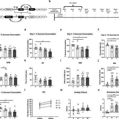 Cortical Glial Fibrillary Acidic Protein Gfap Cell Ablation Induces