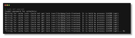 The Right Way To Handle Dpkg Lock Error In Debian And Ubuntu Ostechnix