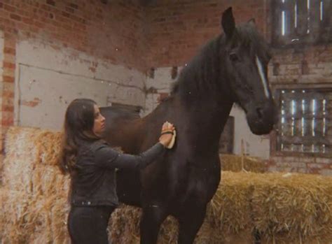 Ariel And Gaby In 2023 Free Rein Tv Show
