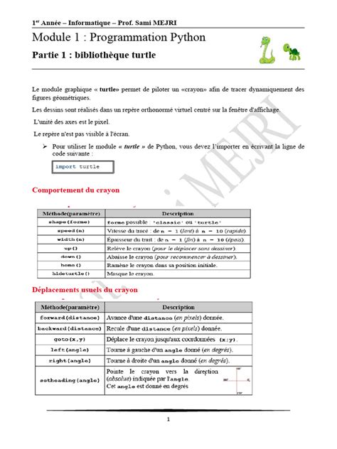 Introduction à La Programmation Python Pdf Variable Informatique