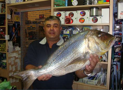 Europesca 2000: Dentón 6,5 kg. de concurso en Cabo Palos