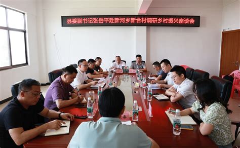 张岳平到新河乡调研乡村振兴工作 华容县政府网