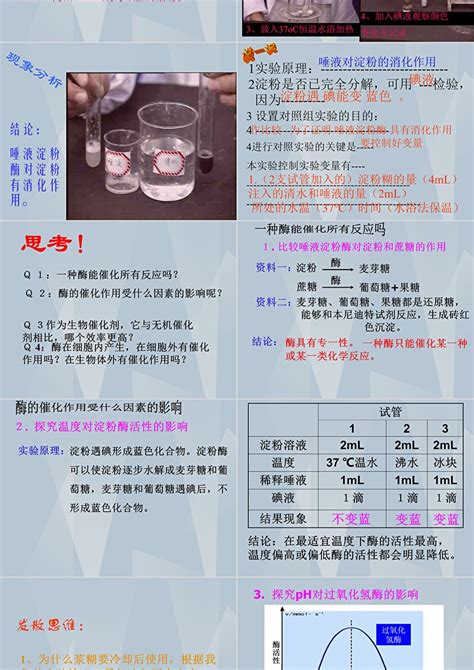 食物的消化与吸收ppt模板卡卡办公