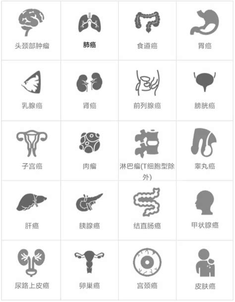 日本看病的癌症杀手锏日本免疫细胞疗法 霓虹医疗直通车