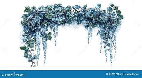 Frozen Ivy With Icicles Isolated On Transparent Background Stock Photo Image Of Chill Plant