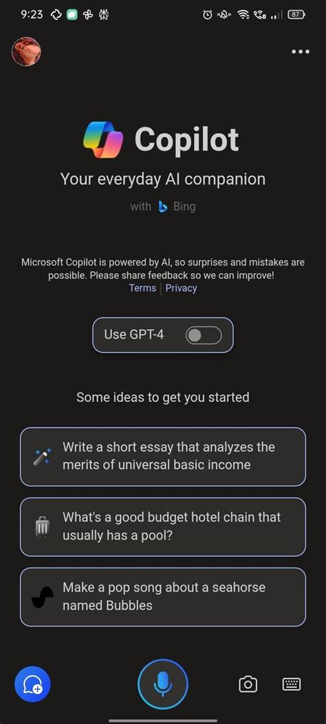 Microsoft Copilot Standalone App Rbing