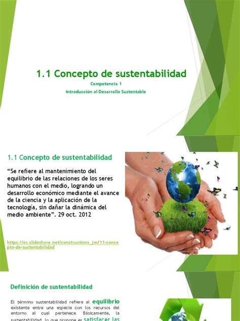 11 Concepto De Sustentabilidad Pdf