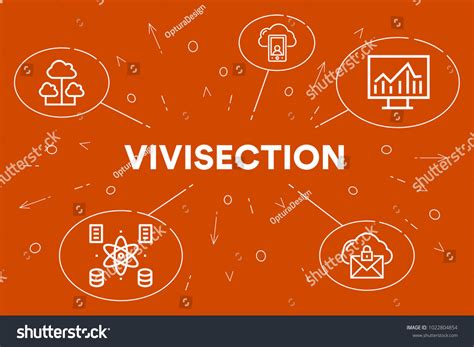 Conceptual Business Illustration Words Vivisection Stock Illustration 1022804854 Shutterstock