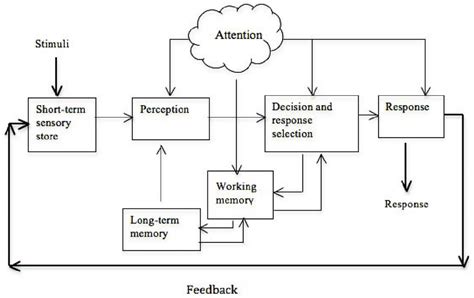 5 Adapted From Wickens 1992 Model Of Information Processing