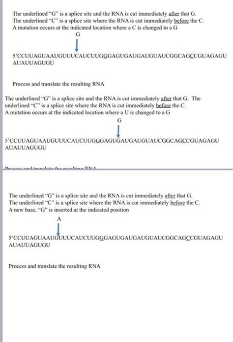 Solved What Is The Longest Polypeptide Encoded By This Dna