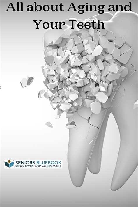 All About Aging And Your Teeth Seniors Blue Book