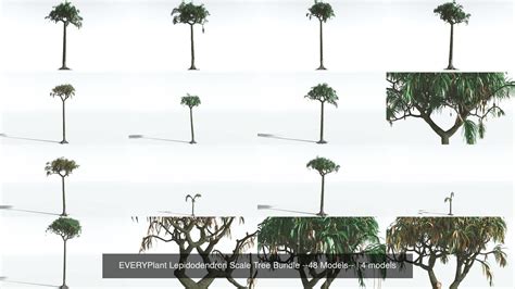 Everyplant Lepidodendron Scale Tree Bundle 48 Models 3d Model