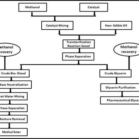 Flow Sheet For Production Of Biodiesel From Palm Kernel Vegetable Oil