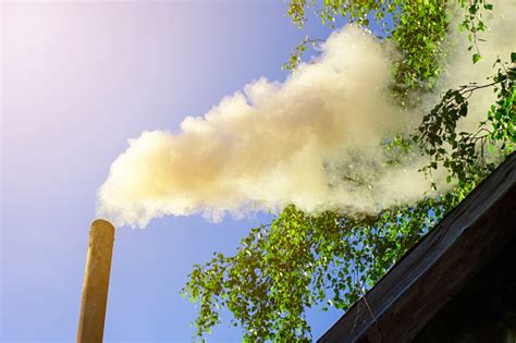 푸른 하늘을 배경으로 자작나무 옆에 있는 집의 굴뚝에서 연기 굴뚝에 대한 스톡 사진 및 기타 이미지 굴뚝 나무 연기 물리적 구조 Istock