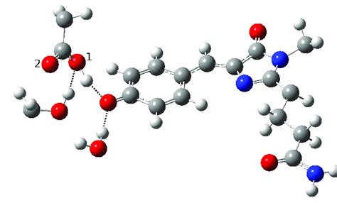 Anionic Form Resulting From The Optimization Of Psamfp488 Starting From