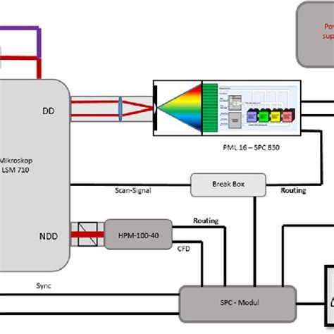 Multiphoton And Single Photon Fluorescence Lifetime Imaging Spectrally