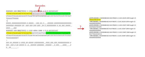 process `create bam` input file name collision there are multiple